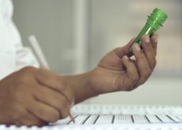 SNQ Website Official – Sistema Nacional de Qualificações