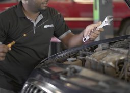 SNQ Website Official – Sistema Nacional de Qualificações